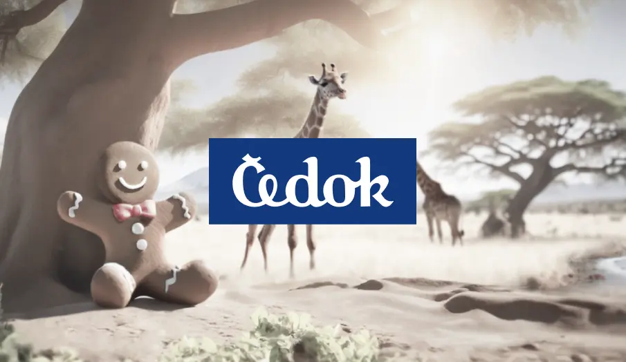 cedok - Sloneek®